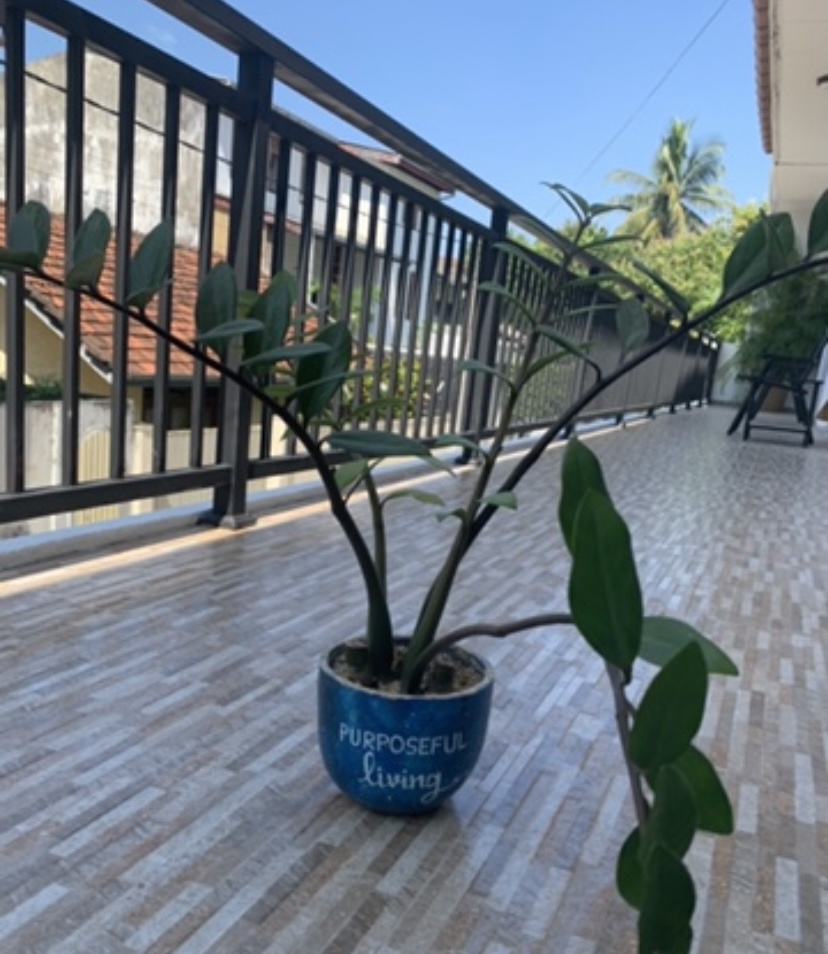 Something Old, Something New, Something Borrowed and Something Green (Purposeful Leadership ...